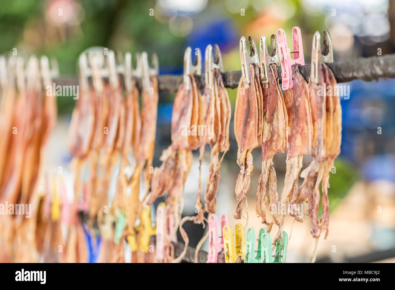 Market squid under water hi-res stock photography and images - Alamy