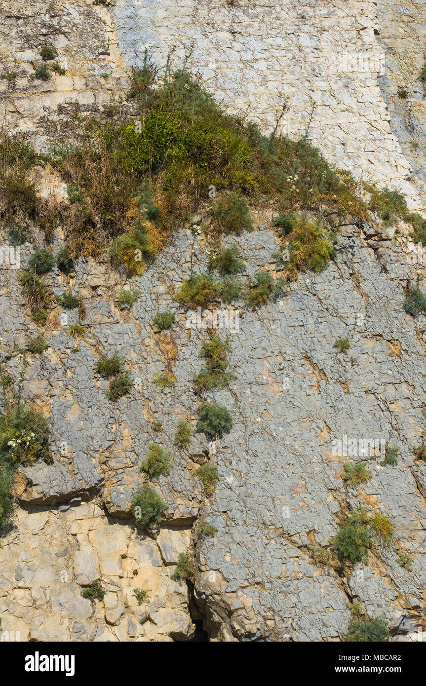 rock formations and stones of the sea coast, weathered and smoothed by ...