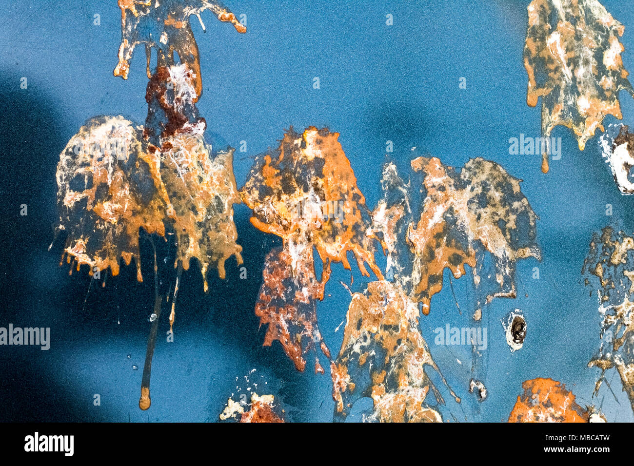 bird droppings texture and pattern for design and decoration isolate on ...