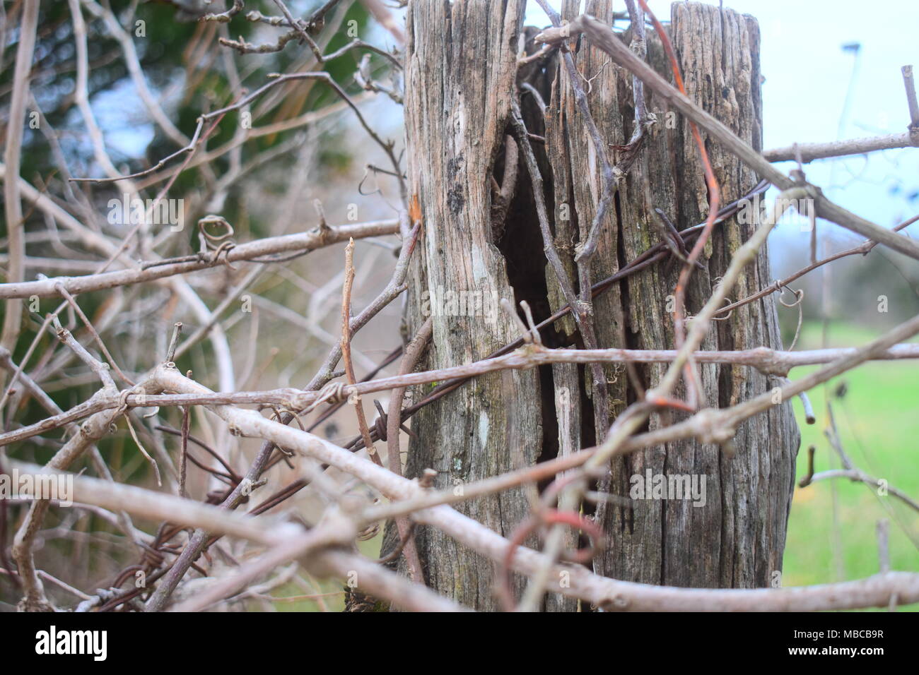 Boundary fence hi-res stock photography and images - Alamy