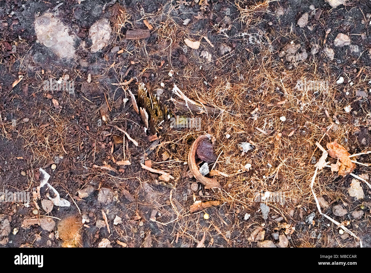 soil texture and pattern for design and decoration isolate on ...