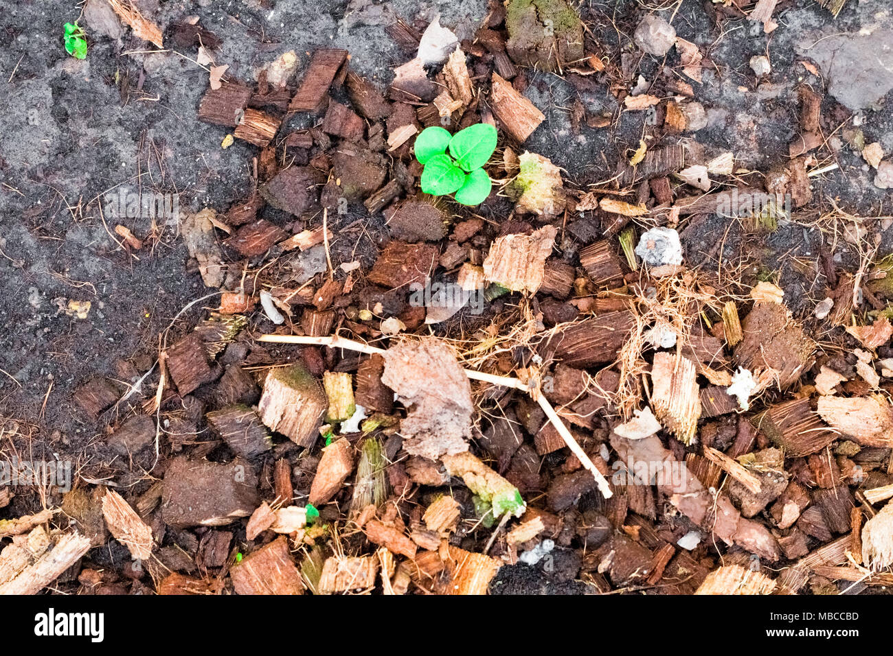 soil texture and pattern for design and decoration isolate on ...