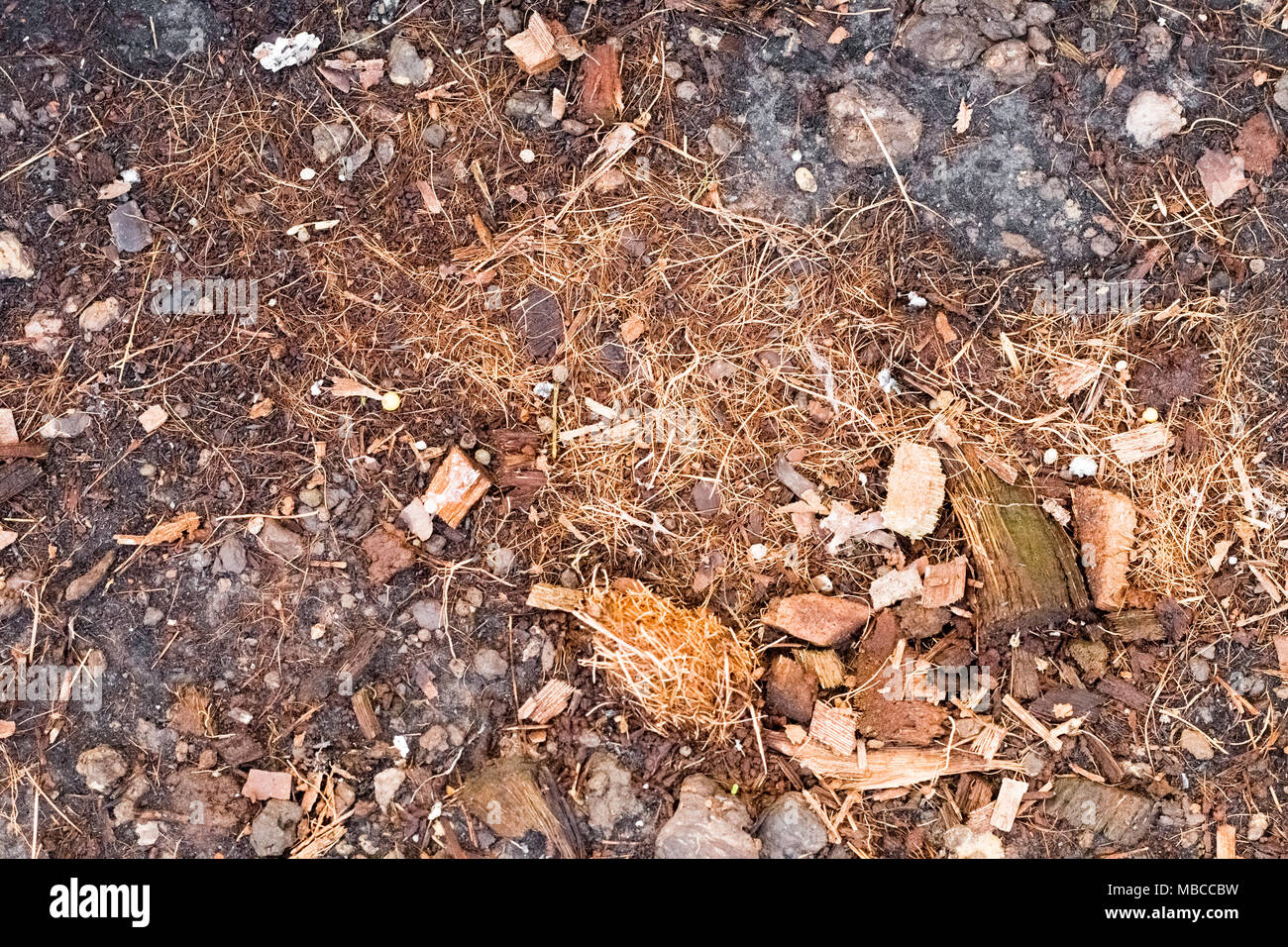 soil texture and pattern for design and decoration isolate on ...