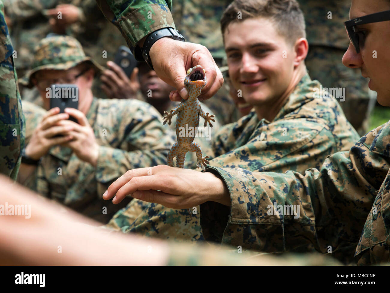 A jungle geico is shown to U.S. Marines with 3rd Battalion, 3rd Marine ...