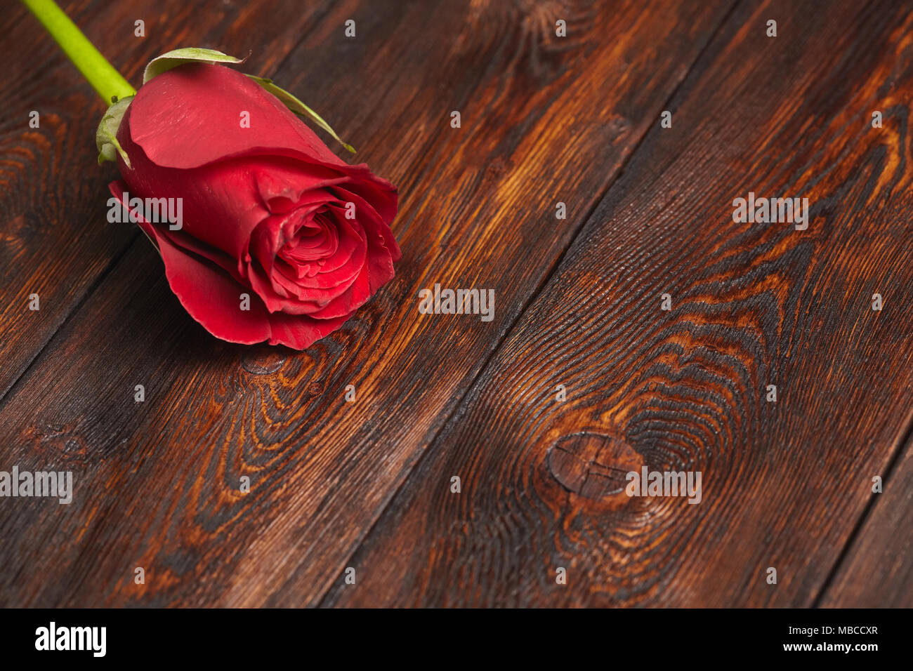 Beautiful red rose on wooden table, romantic background with copyspace ...