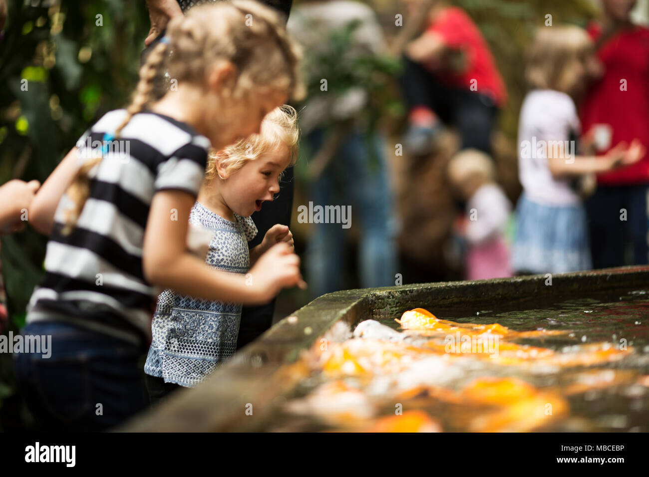 Girl with fish hi-res stock photography and images - Alamy