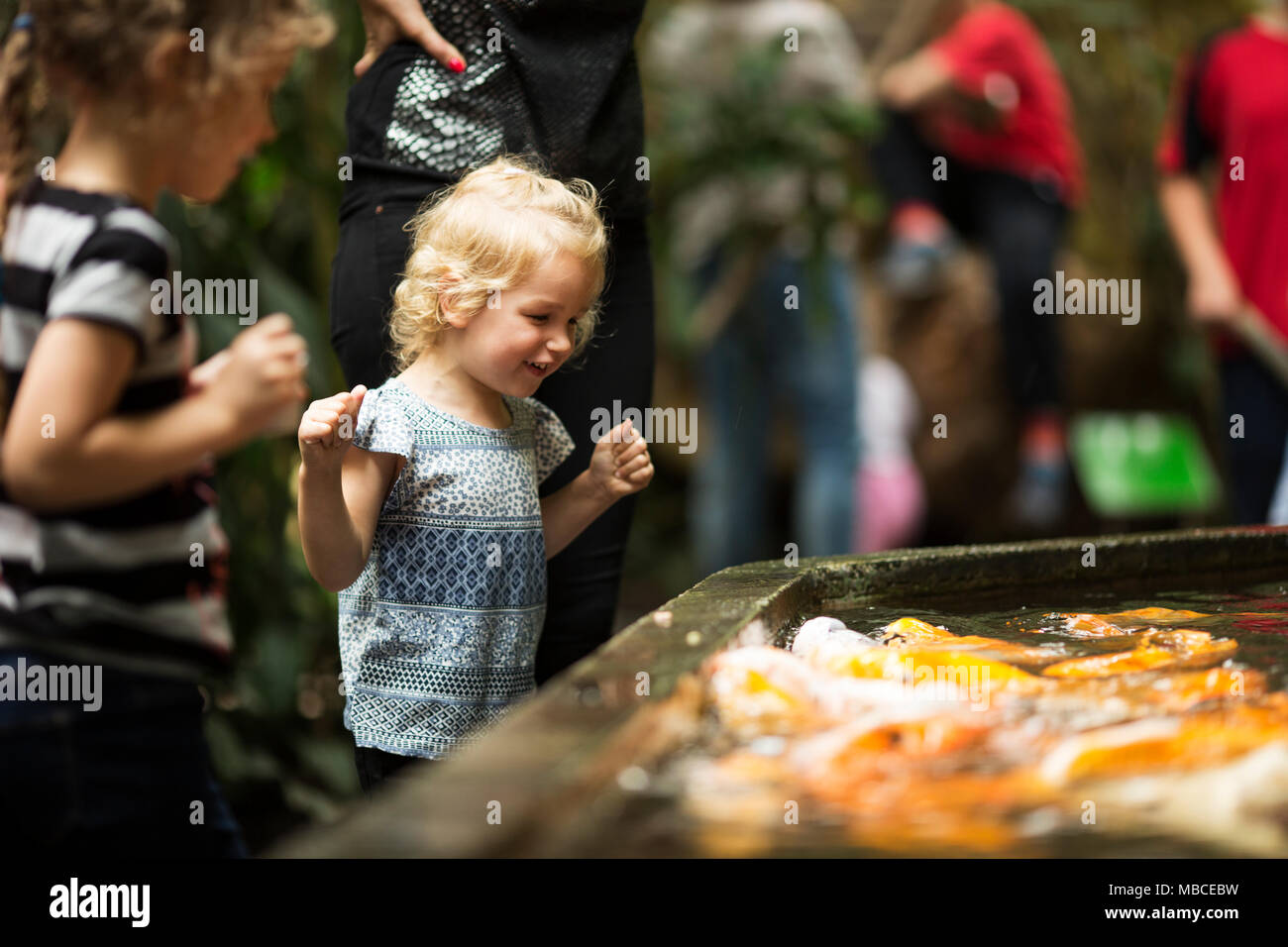 Child touching water hi-res stock photography and images - Alamy