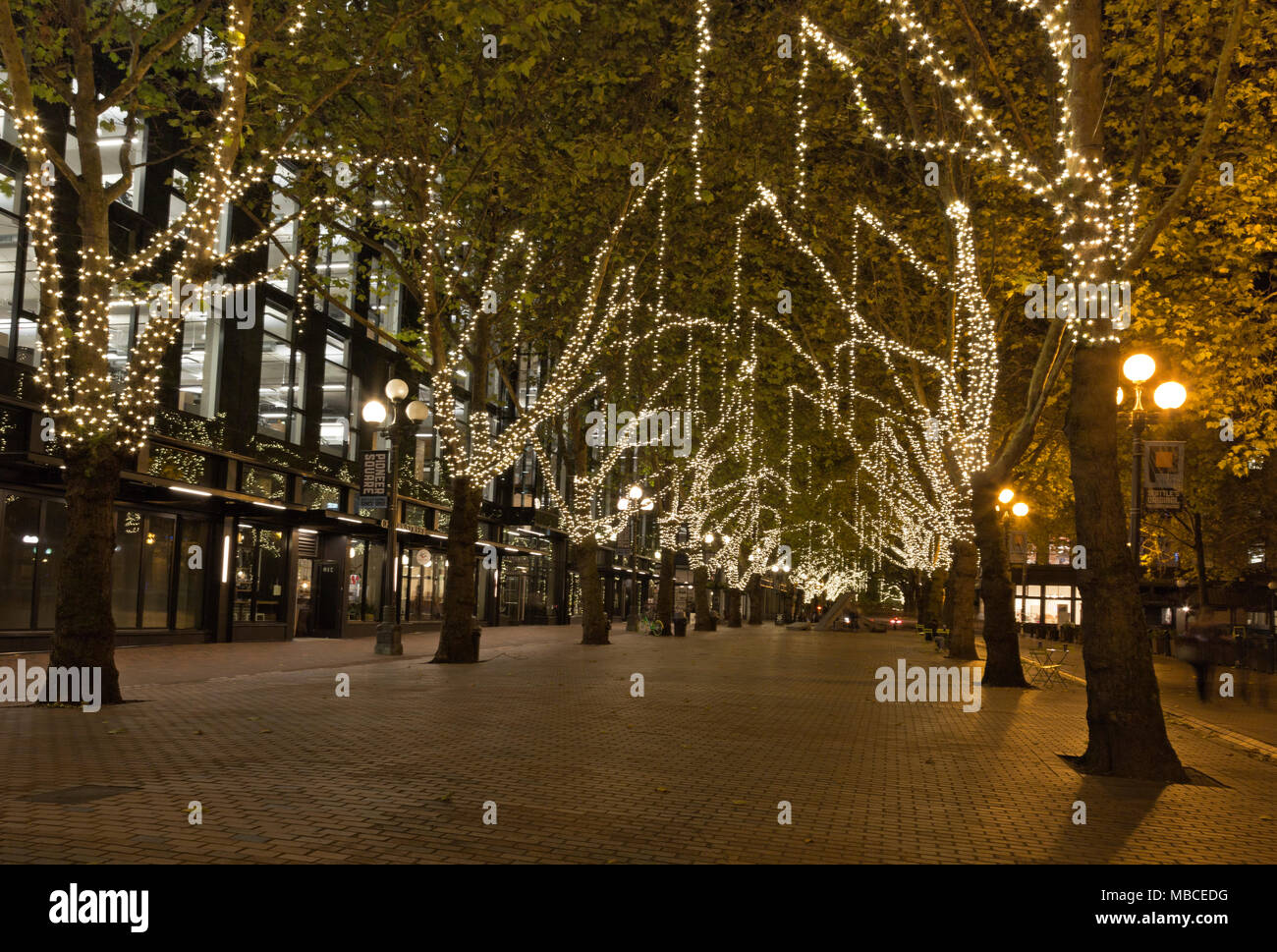 Trees brighten the street hi-res stock photography and images - Alamy