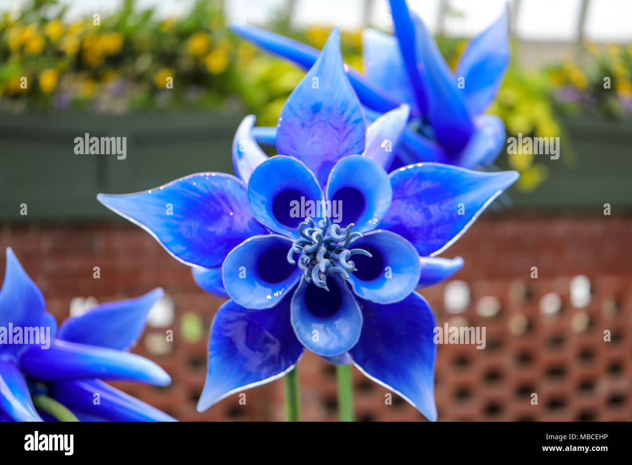 Extremely colorful, larger than life glass flower sculptures. Blues ...