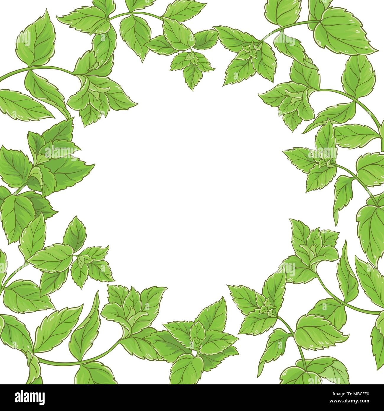peppermint plant vector frame on white background Stock Vector Image ...