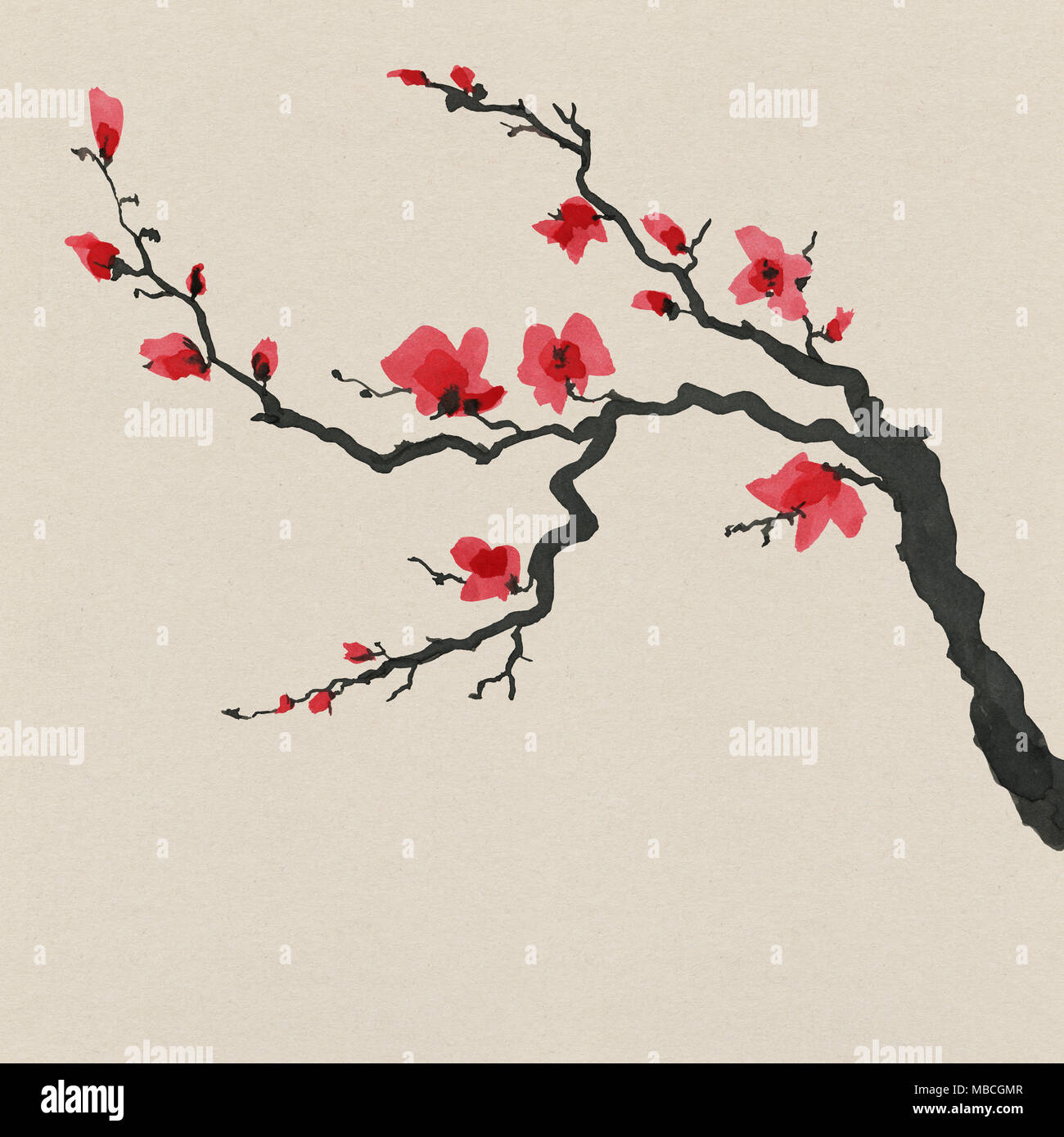 Sakura tree in Japanese style. Watercolor hand painting illustration ...