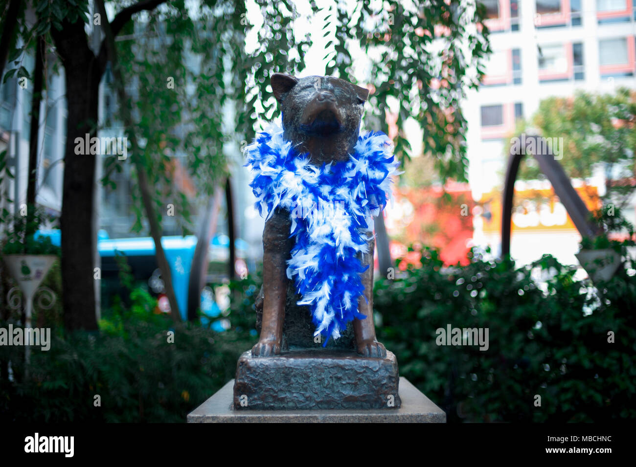 Hachiko Statue at Shibuya station in Japan.Hachiko is a Japanese dog ...