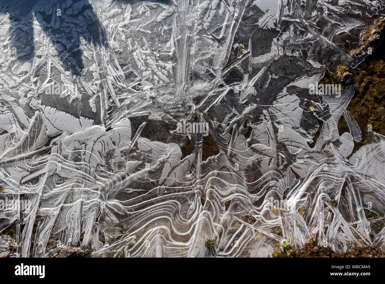 Icy puddle hi-res stock photography and images - Alamy