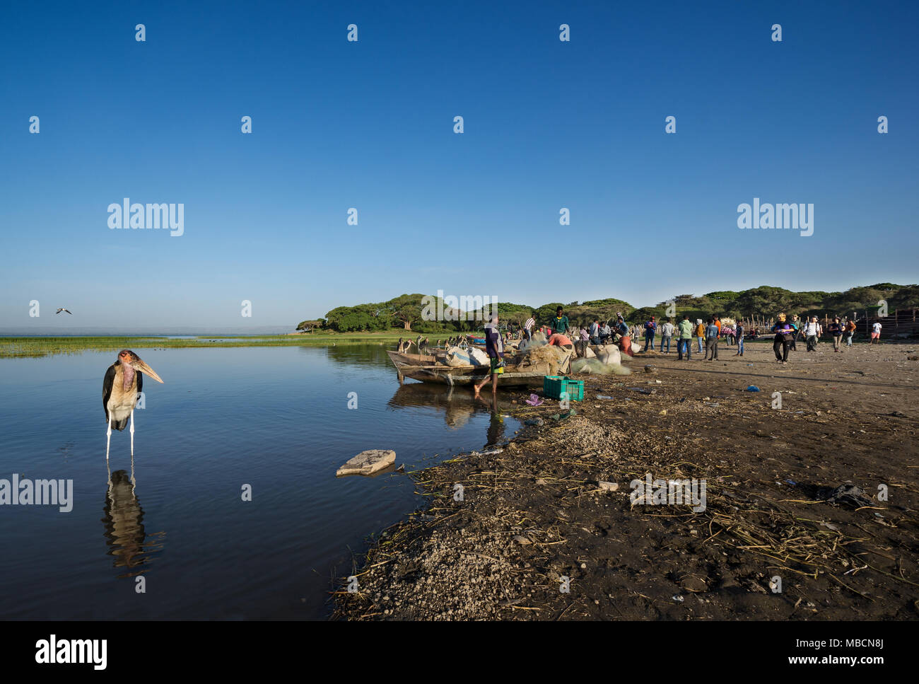 Ethiopian tourism hi-res stock photography and images - Alamy