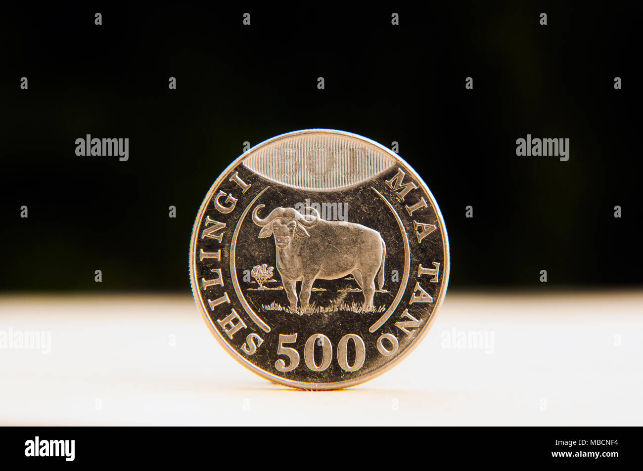 500 Tanzania shilling coin, depicting cape buffalo, in semi studio ...