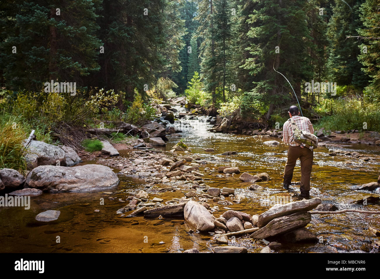 Retrieve Fish High Resolution Stock Photography and Images - Alamy