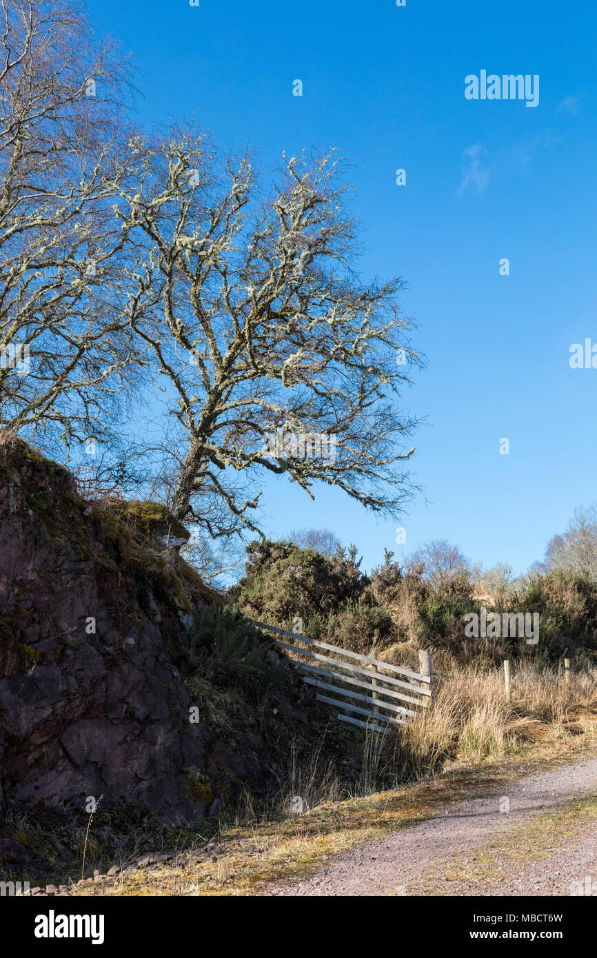 Plot boundary hi-res stock photography and images - Alamy