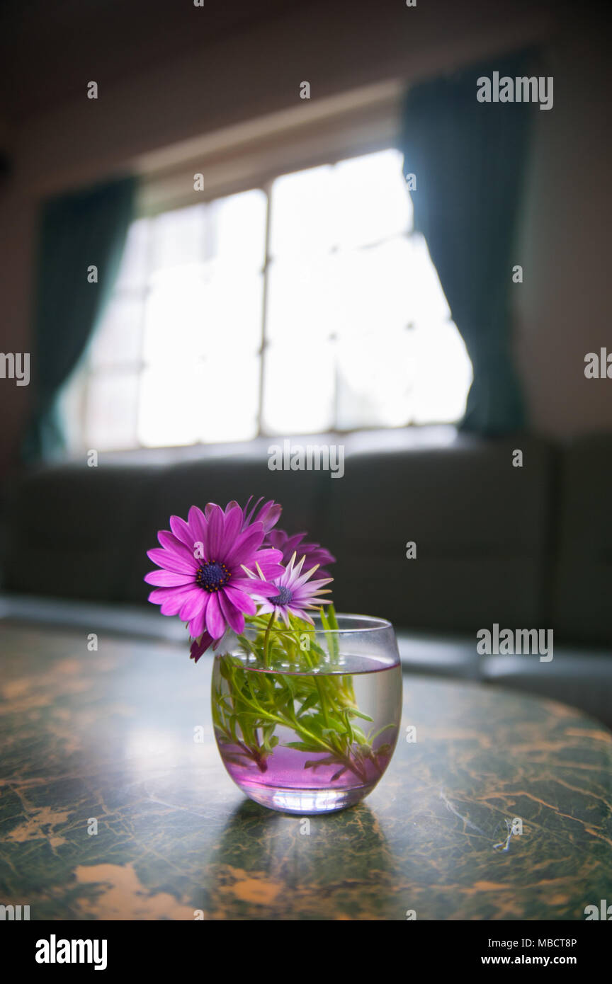 Flower on the desk is taken around Tokyo, Japan. It was pictured in the ...