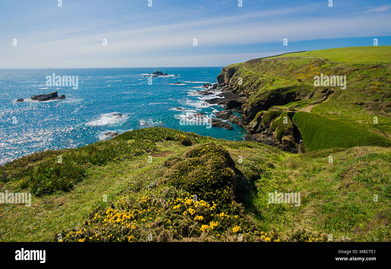 The beautiful Lizard Peninsula in Cornwall, UK Stock Photo - Alamy