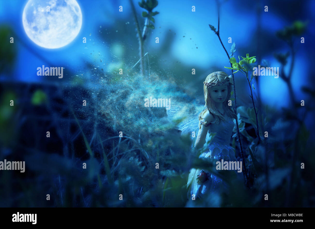image of magical little fairy in the night forest Stock Photo - Alamy