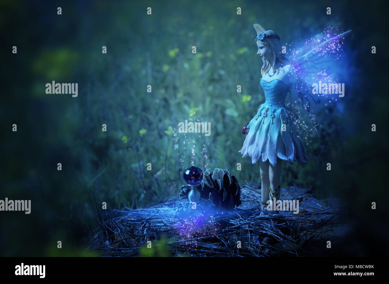 image of magical little fairy in the night forest Stock Photo - Alamy