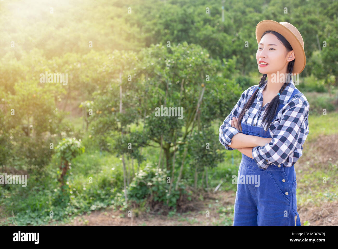 happy asia farmer posing in a orange Garden Stock Photo - Alamy