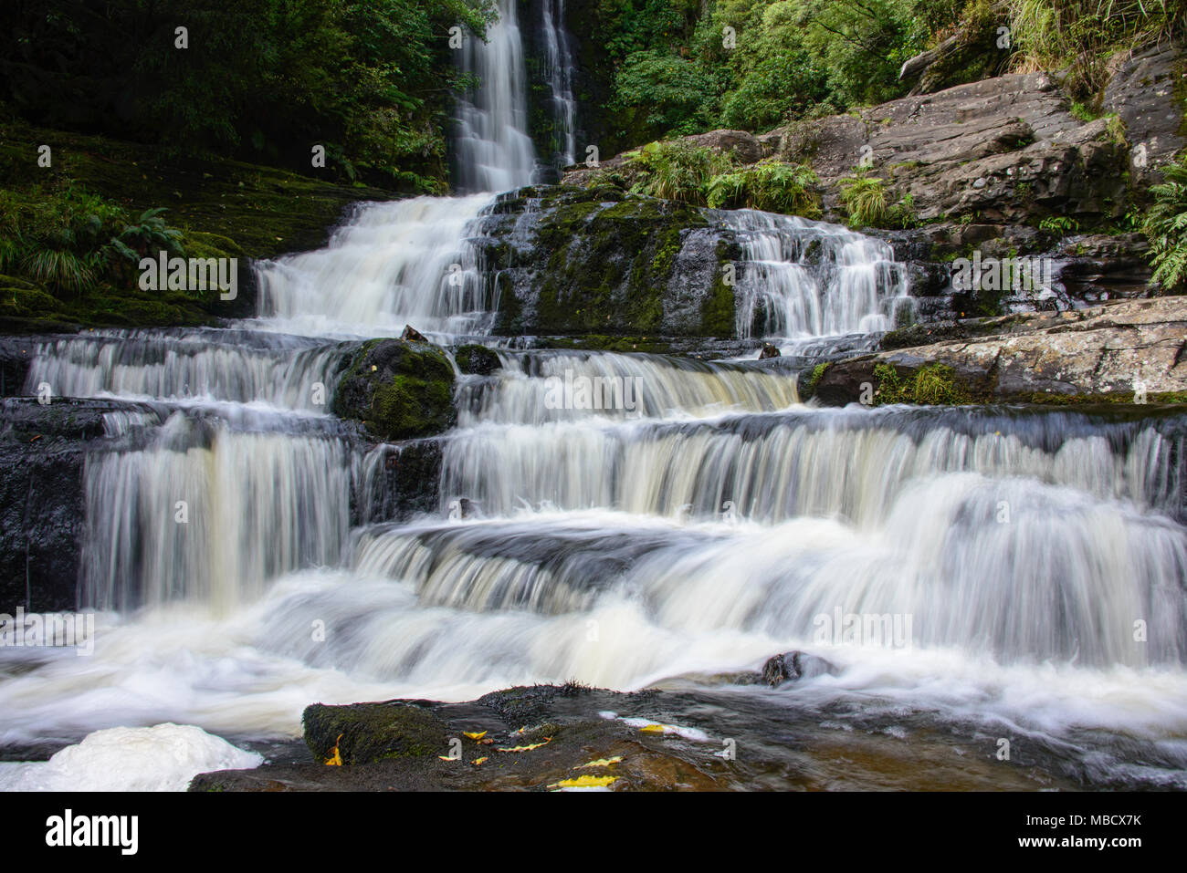 McLean Falls in the Catlins, Southland,New Zealand Stock Photo - Alamy