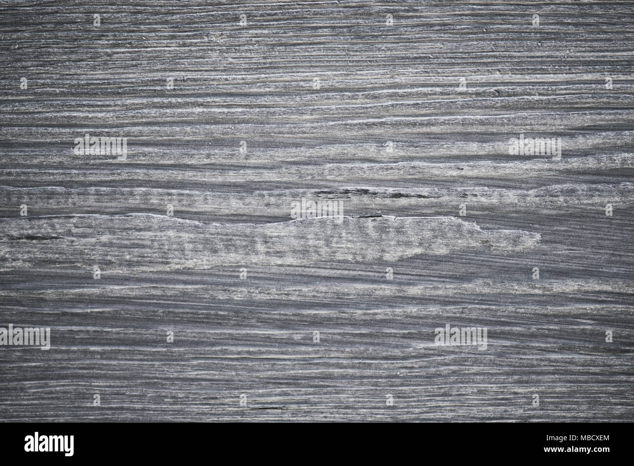 Wood texture. Gray timber board with weathered crack lines. Natural ...