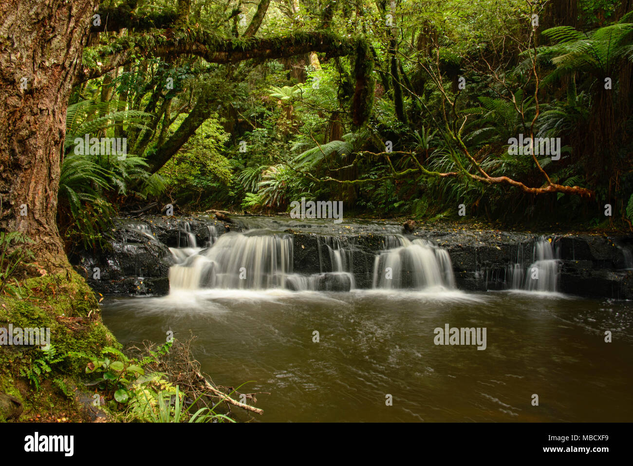 Purakaunui waterfalls hi-res stock photography and images - Alamy