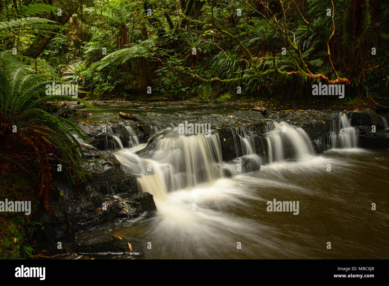 Purakaunui waterfalls hi-res stock photography and images - Alamy