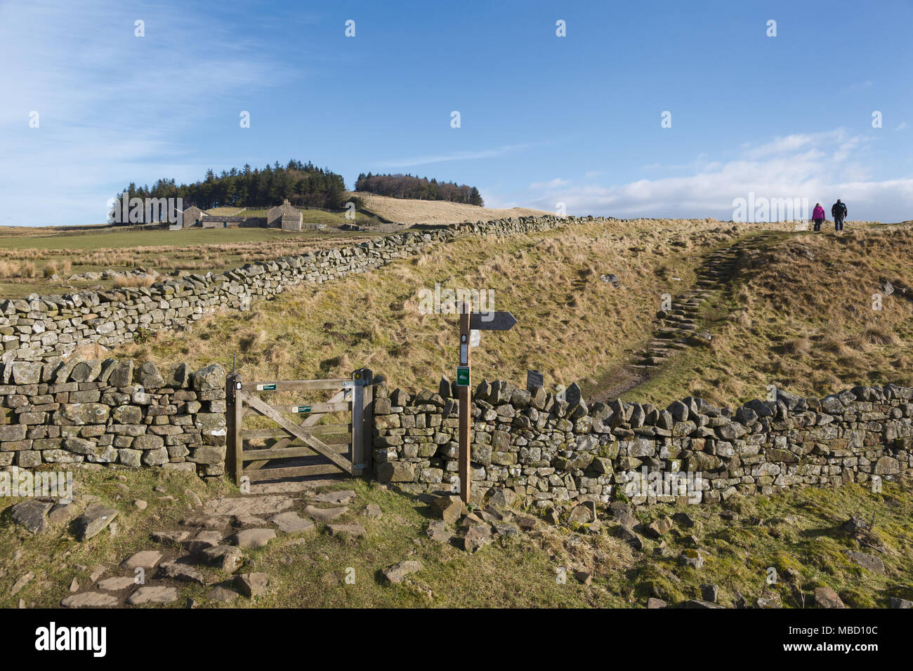 Hadrian's Wall in winter - two walkers at Milking Gap follow the ...