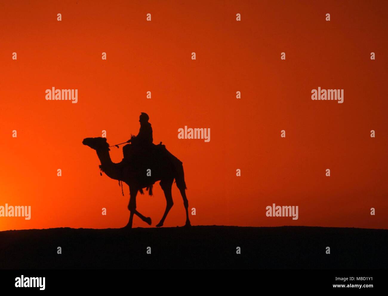 Archival desert hi-res stock photography and images - Alamy