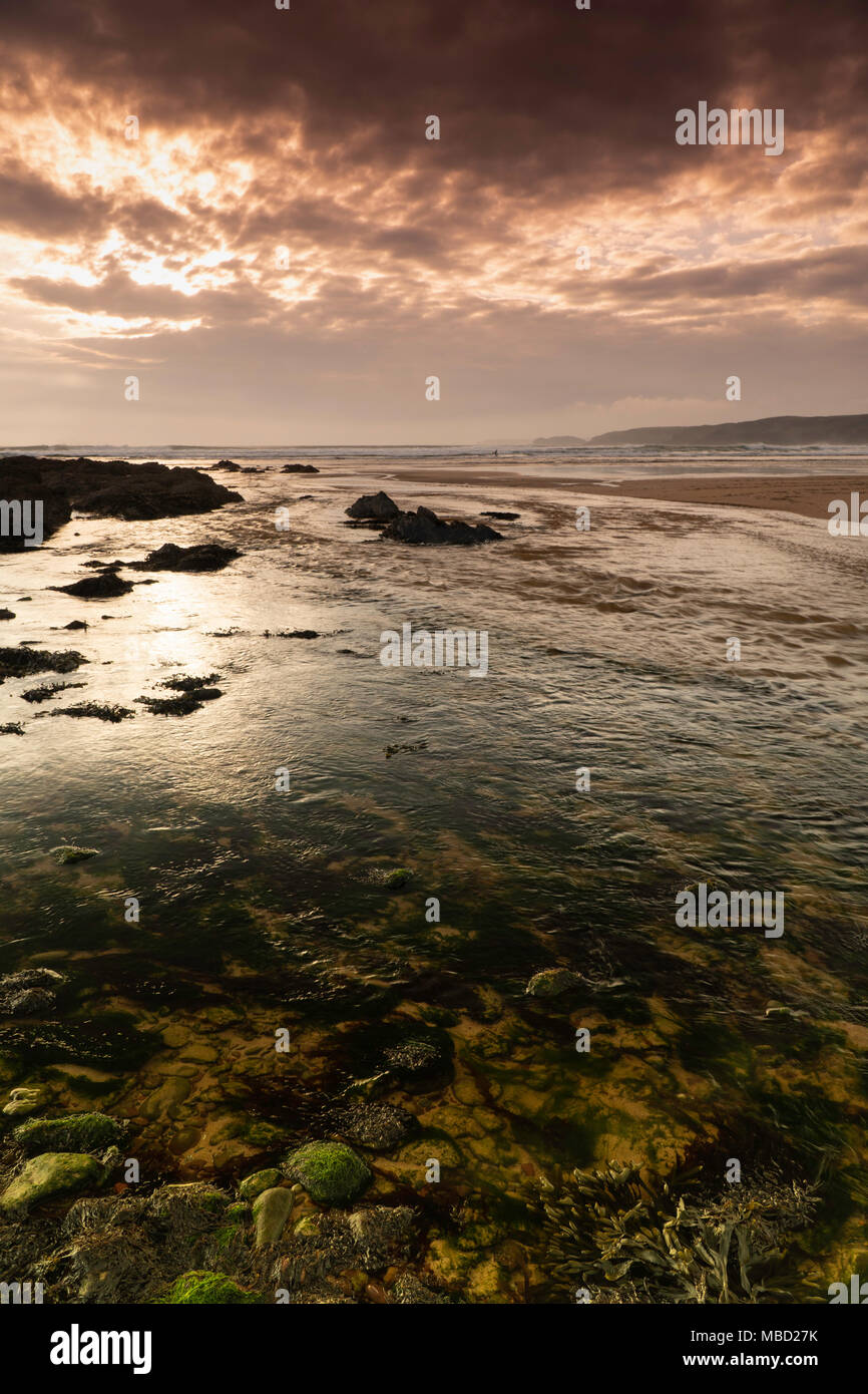 Amazing foreground details and colours, taken at a beech. notice the ...