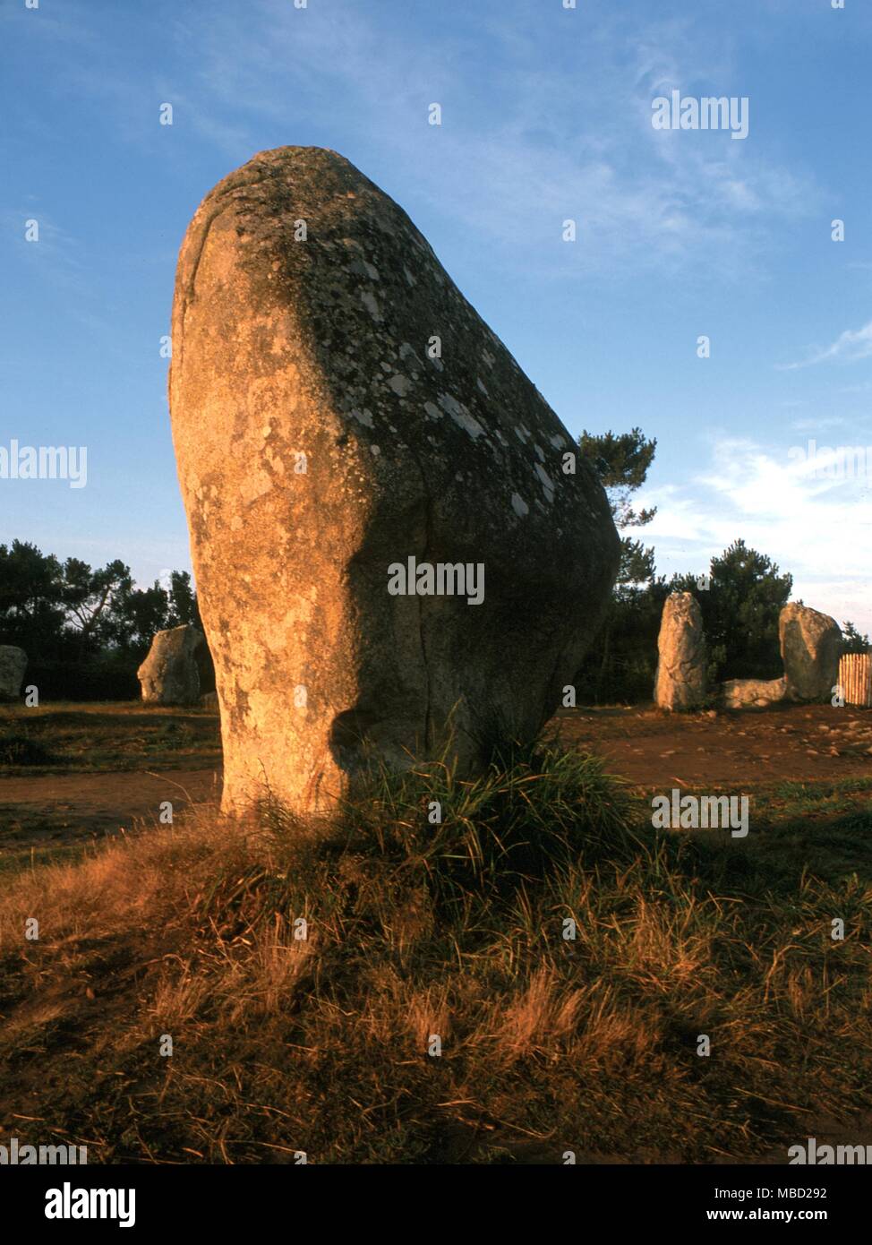 Ley Lines. Part of the complex system of alignments at Carnac, Brittany ...