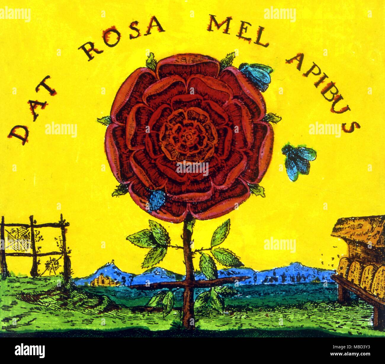 Rosicrucians 1629 hi-res stock photography and images - Alamy