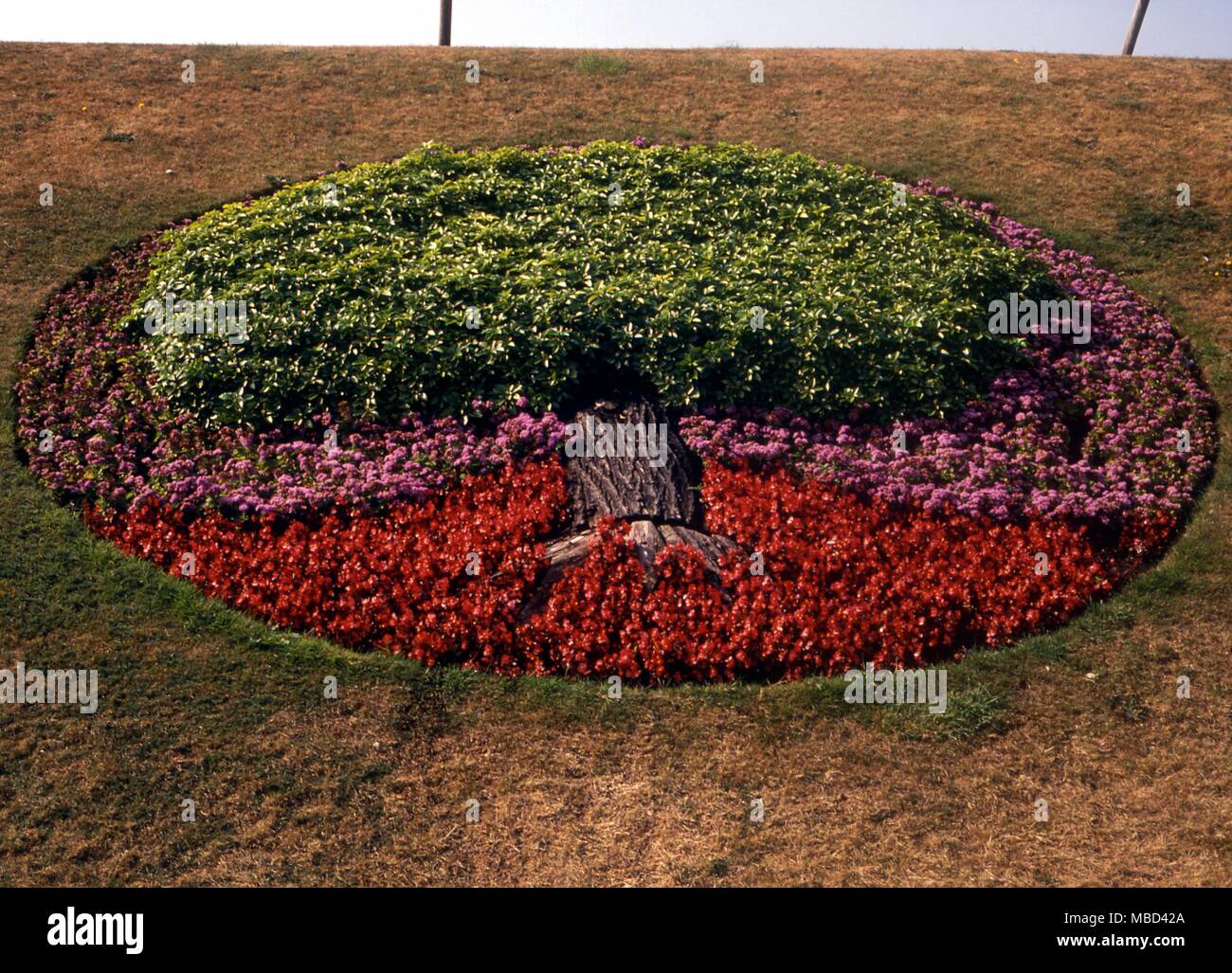 Nottingham forest hi-res stock photography and images - Alamy