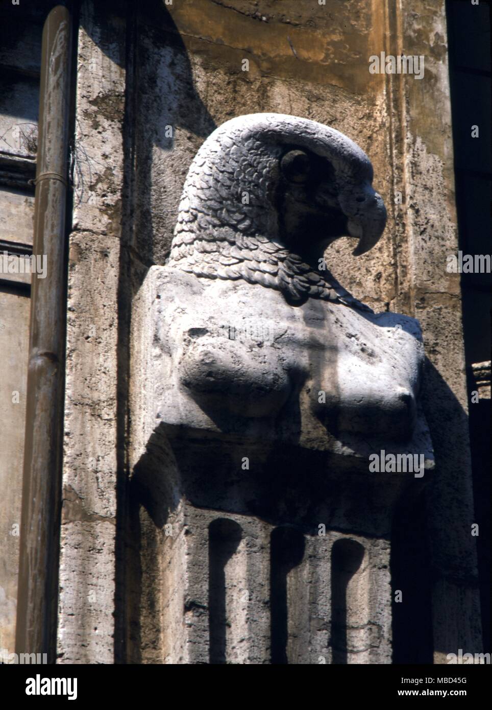 Image of horus hi-res stock photography and images - Alamy