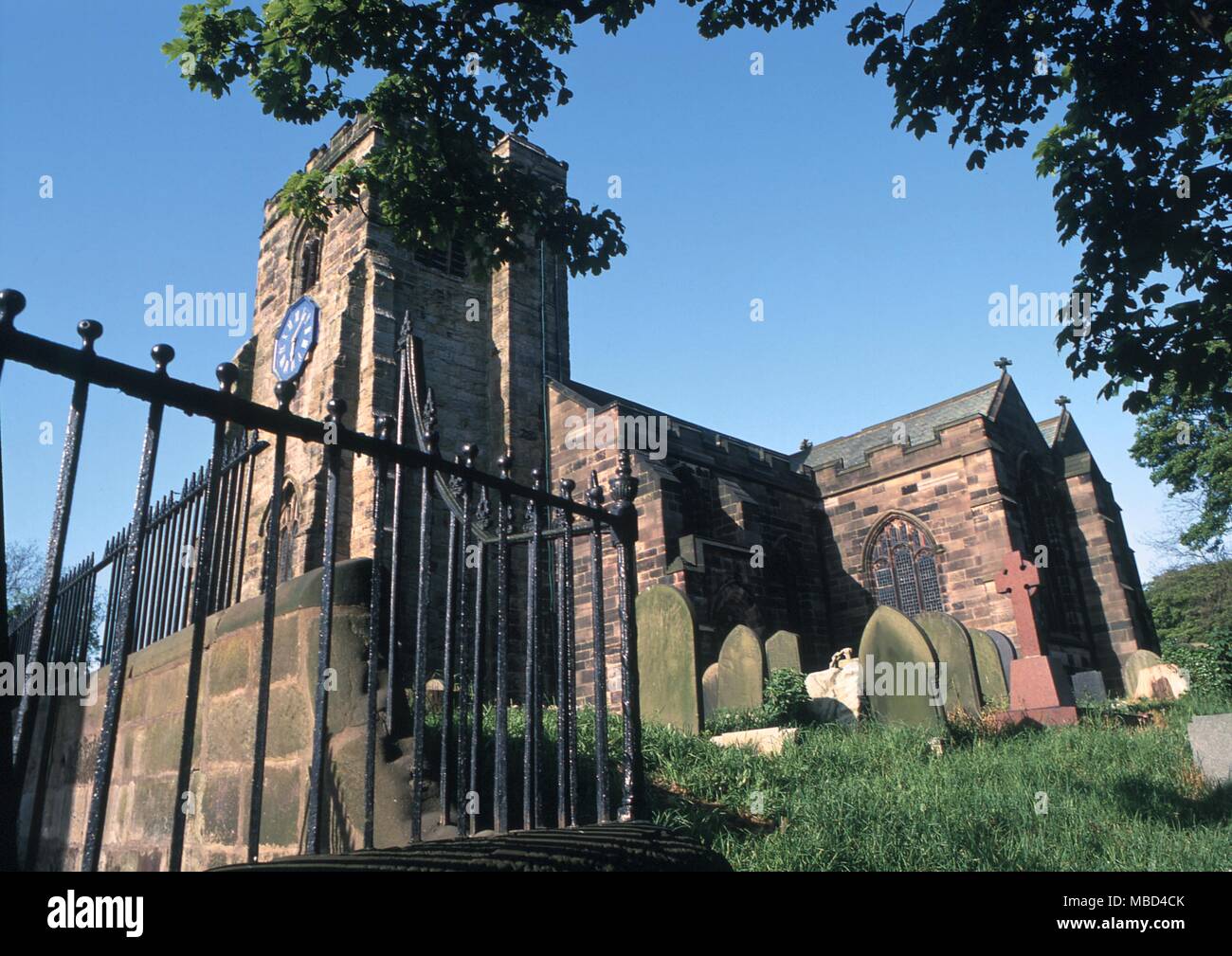 Rick Dale Girlfriend Kelly Mayer