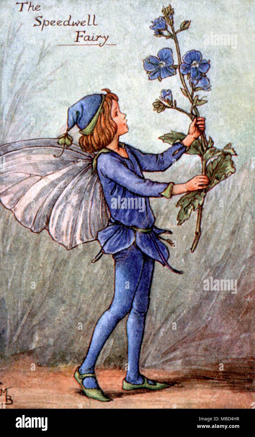 The Speedwell Fairy - from C. M. Barker's Spring Songs with Music, n.d ...