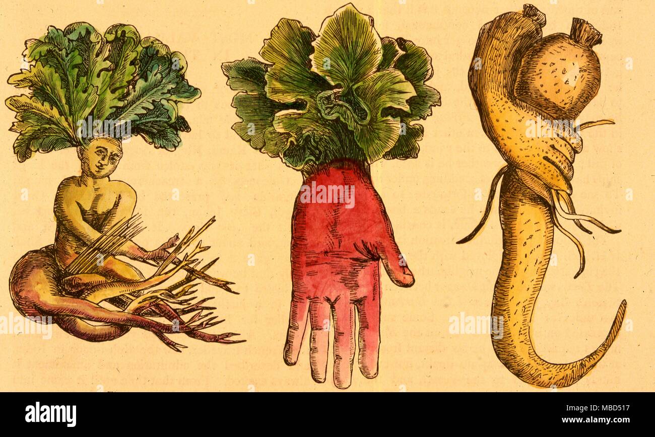 Curious freaks hi-res stock photography and images - Alamy