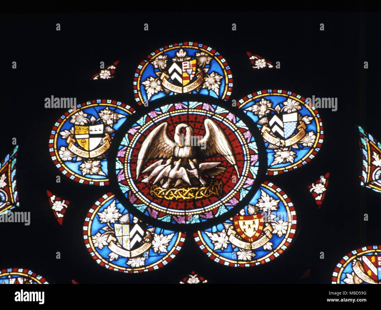 Symbols - Pelican Stained glass image of the pelican feeding her young ...