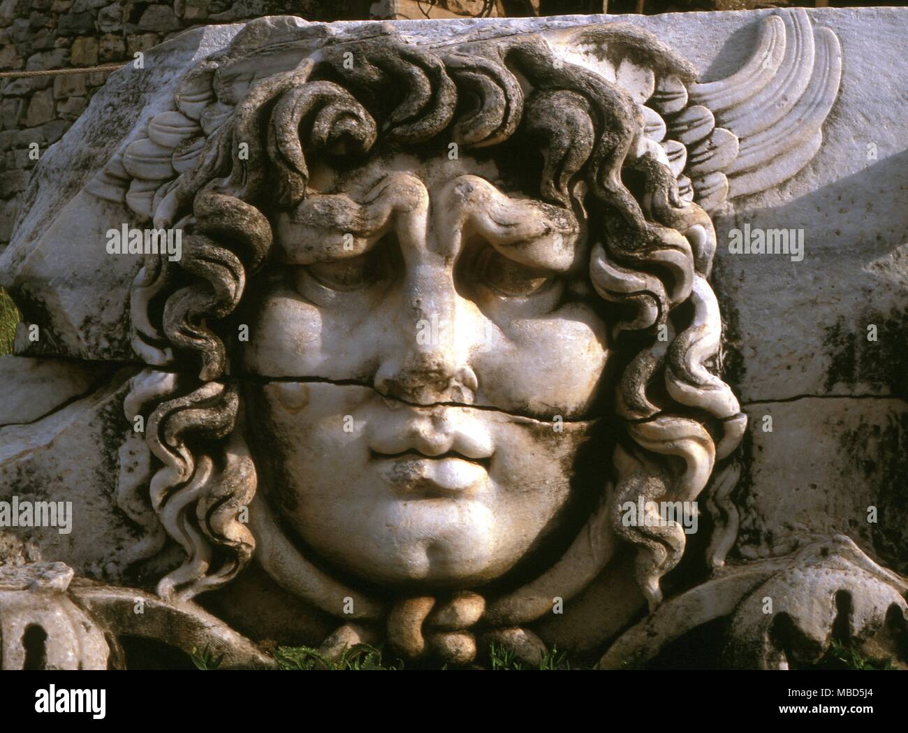 Gorgon head hi-res stock photography and images - Alamy