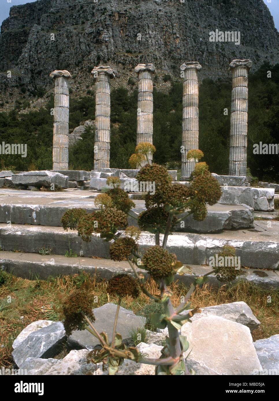 Sacred Places - Turkey. The Temple at Priene Stock Photo - Alamy