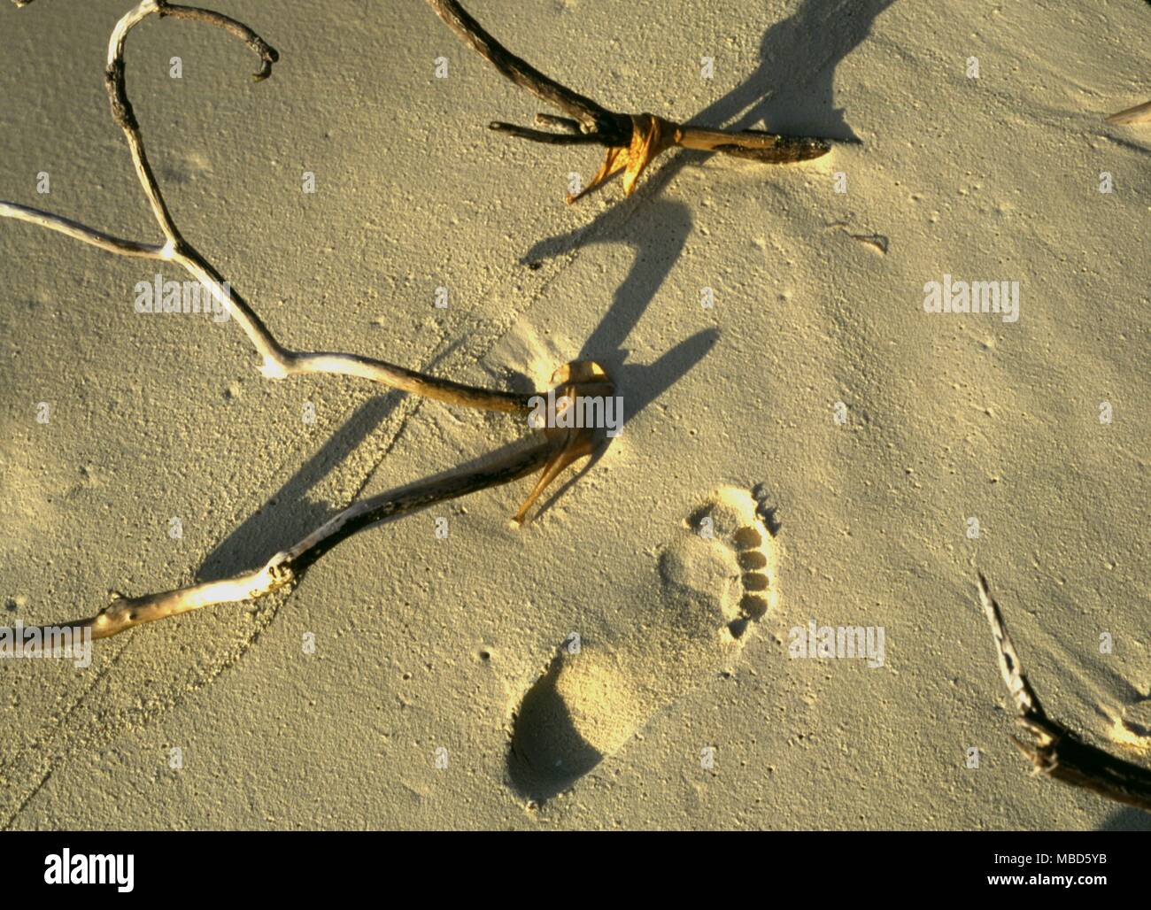 Historical footprint hi-res stock photography and images - Alamy