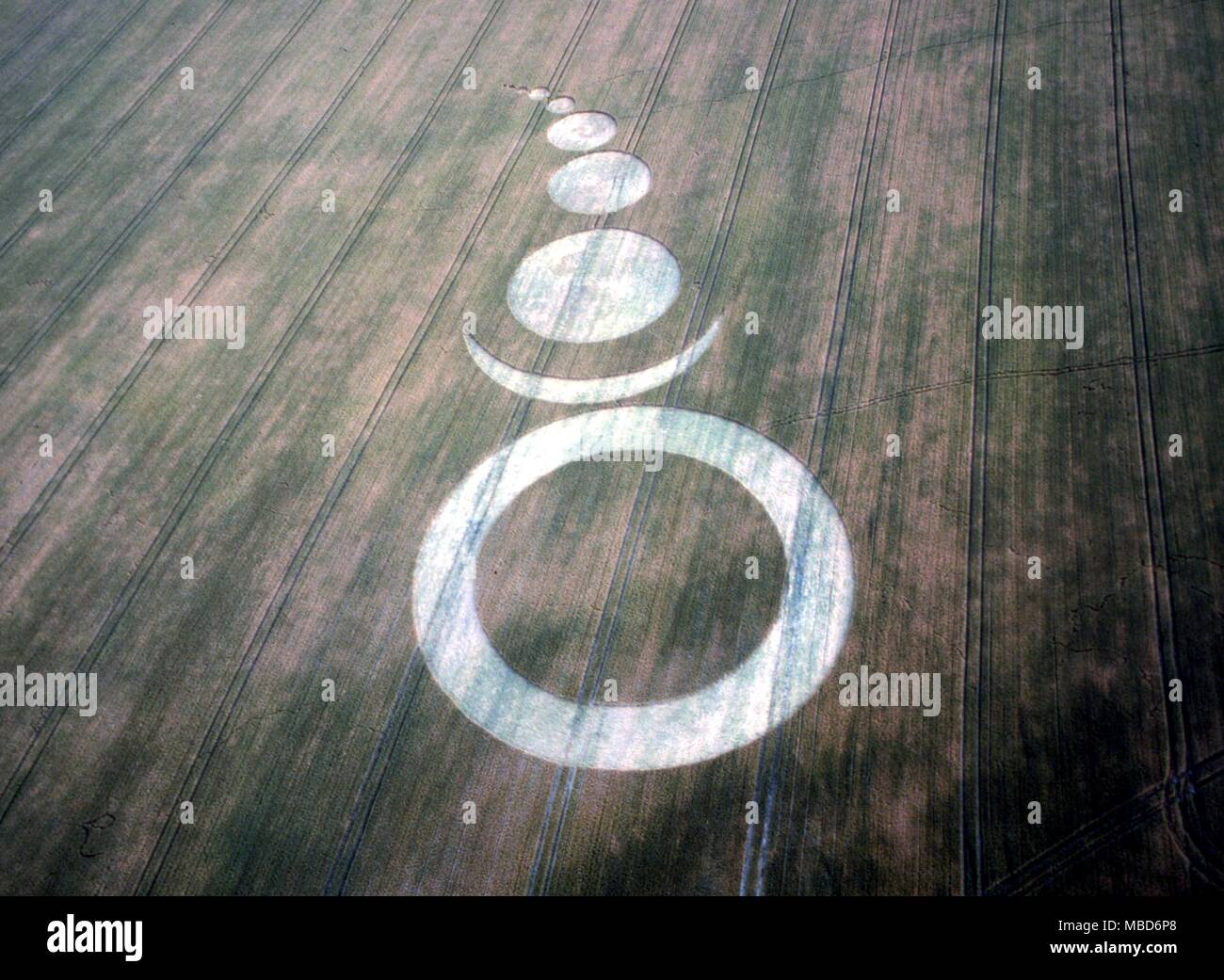 CORN CIRCLES - formed from seven circles and one crescent Stock Photo ...