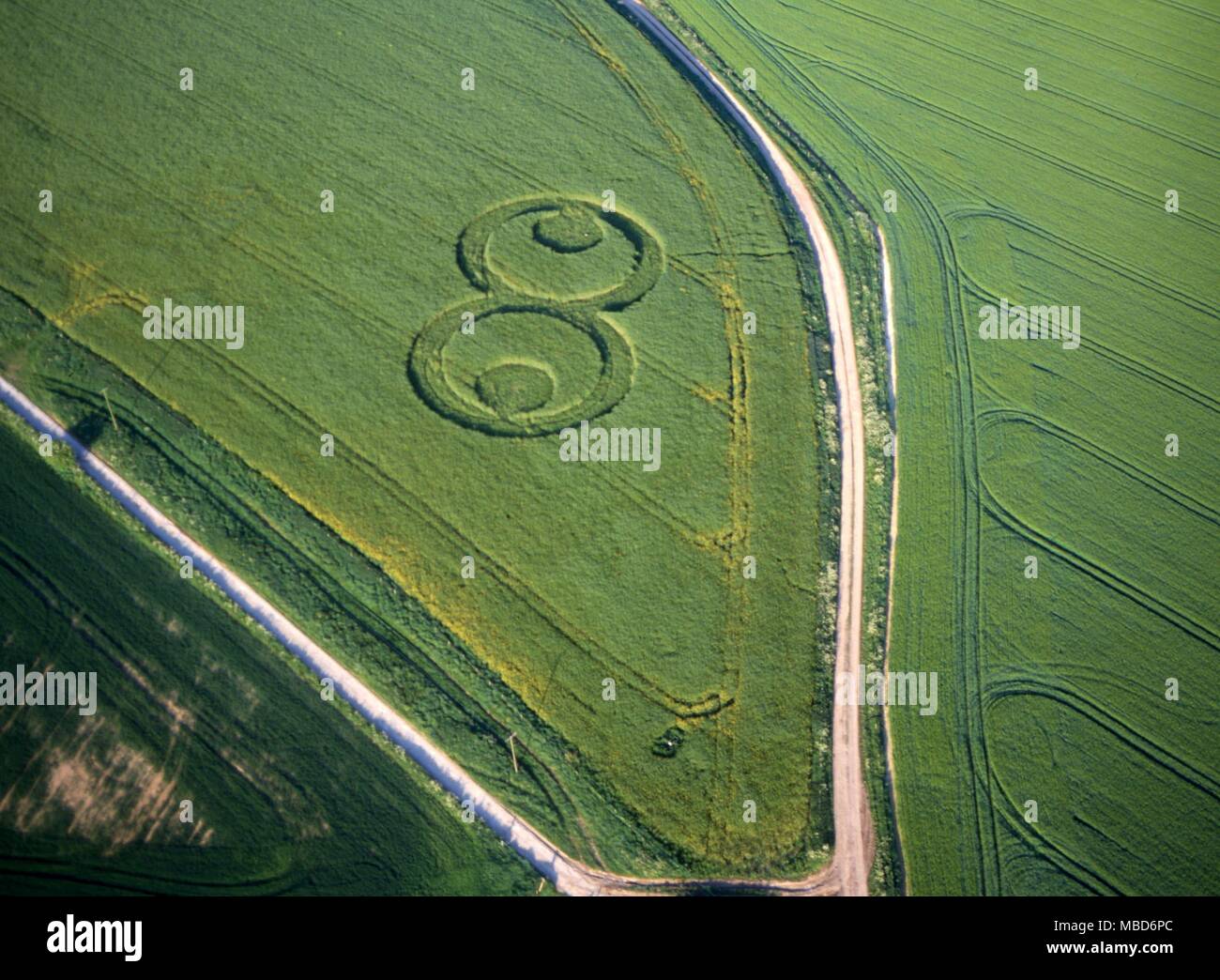 The alien corn hi-res stock photography and images - Alamy