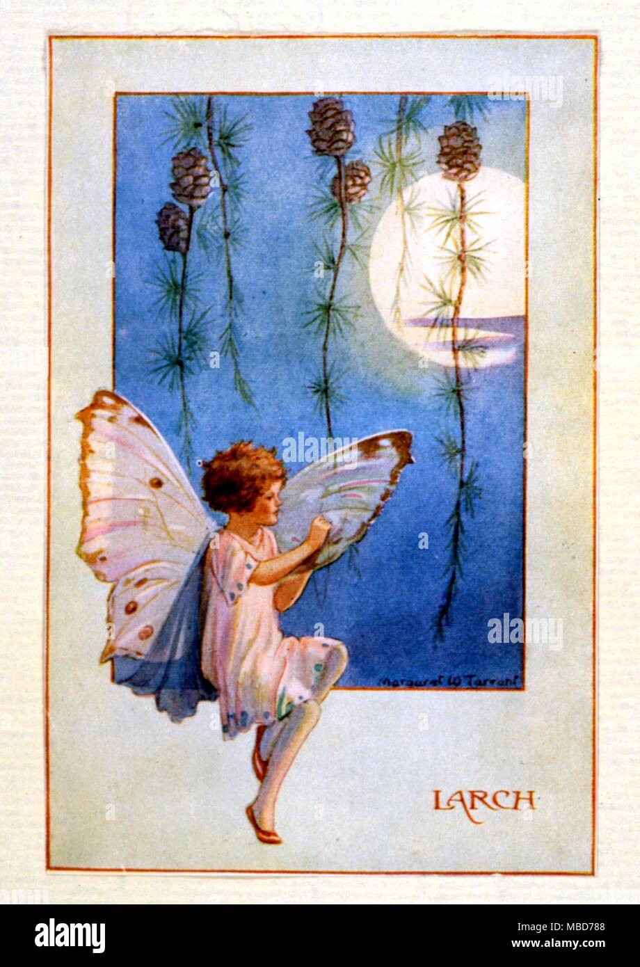 Moon fairy hi-res stock photography and images - Alamy