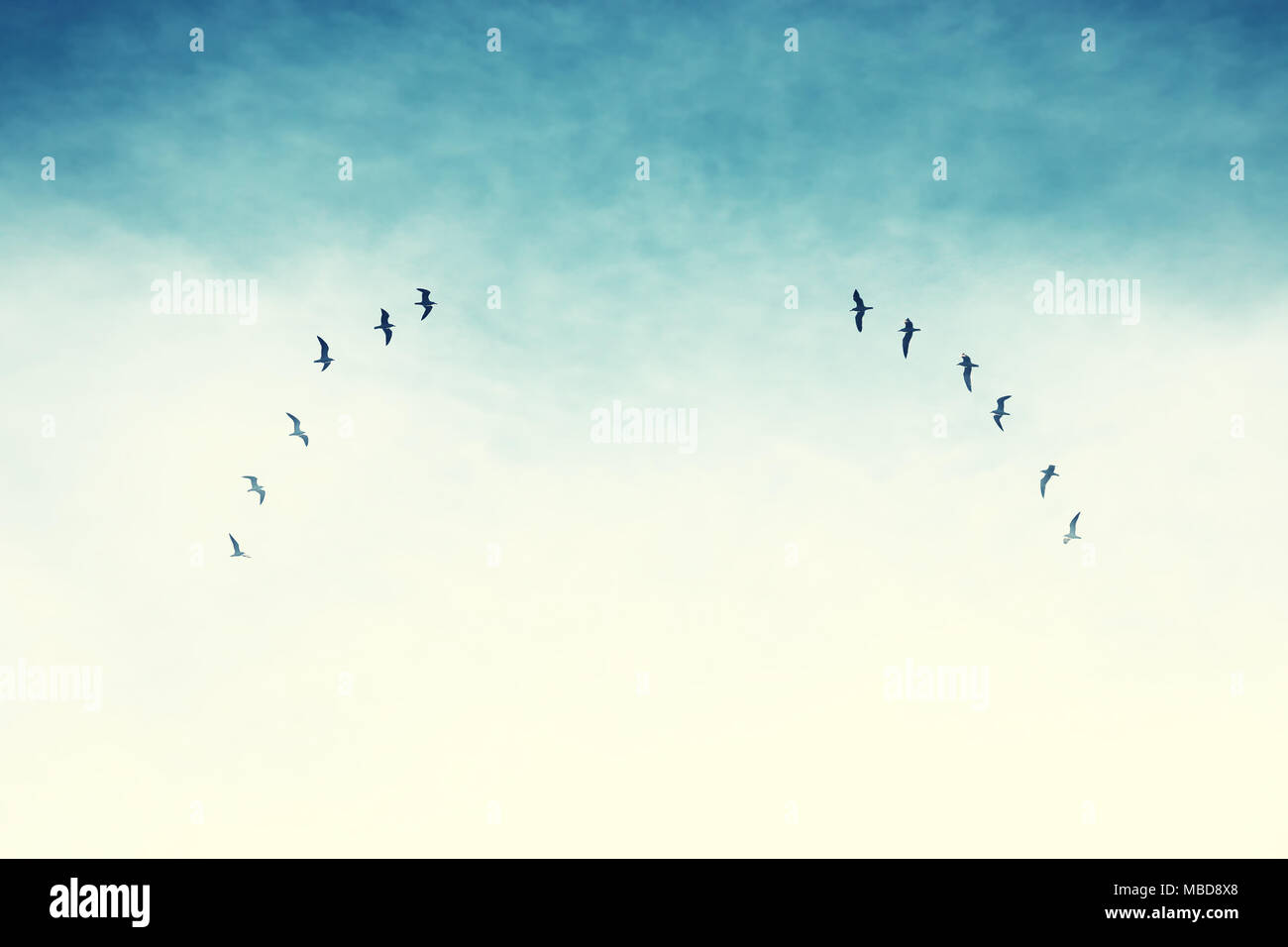 Surre hi-res stock photography and images - Alamy