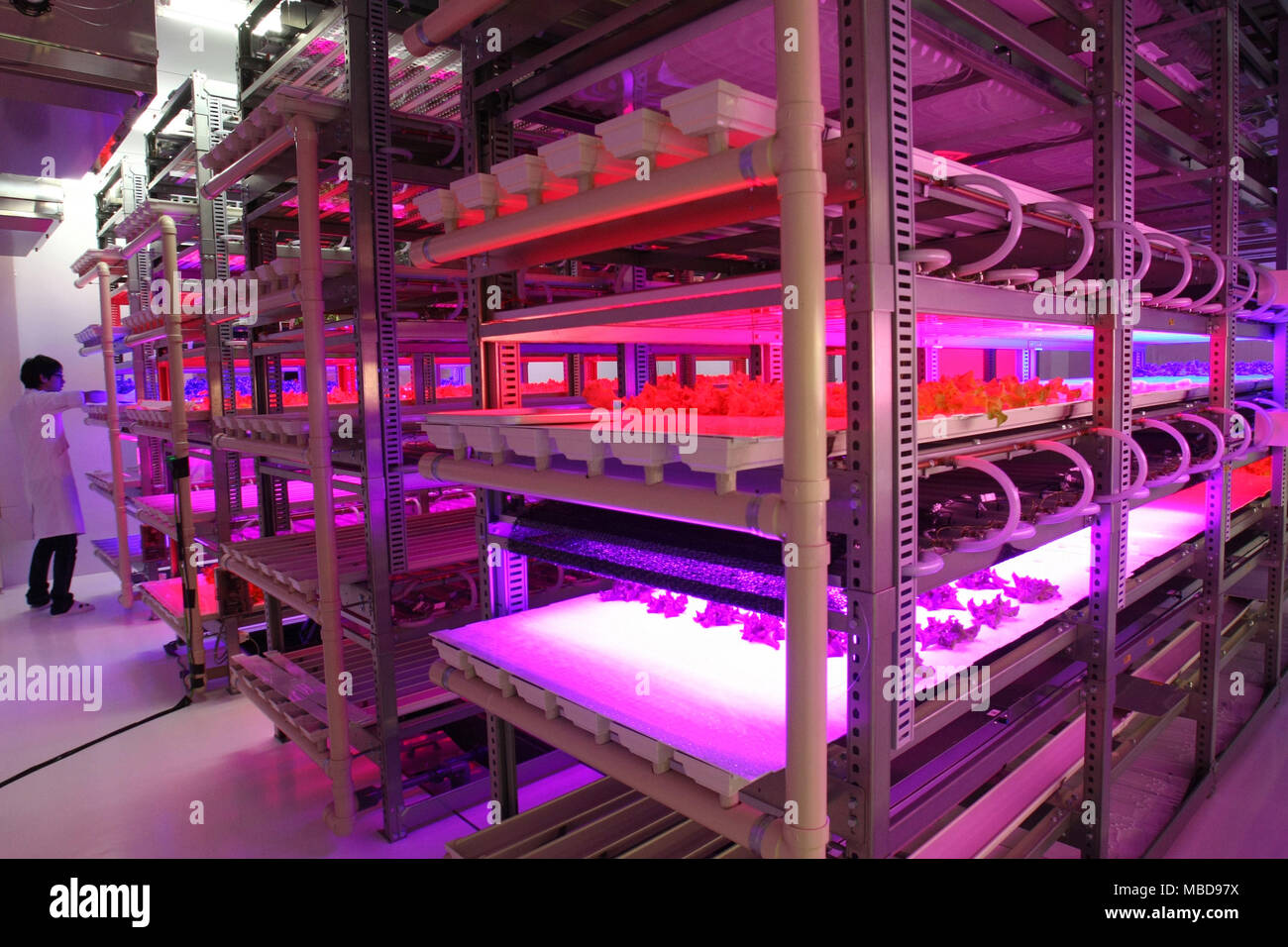 Tokyo factory production hi-res stock photography and images - Alamy