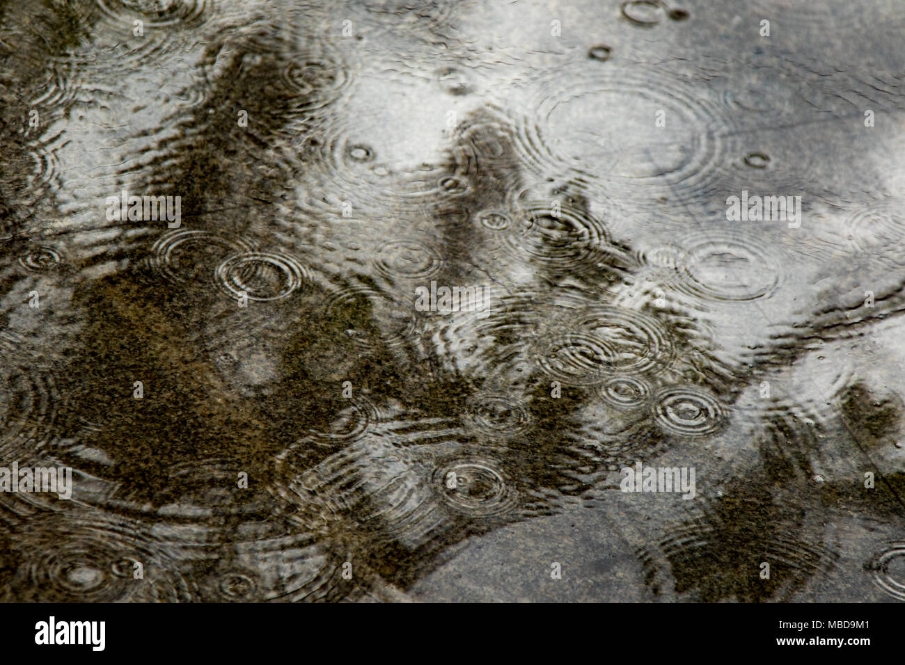 Background texture of raindrops in a puddle Stock Photo - Alamy